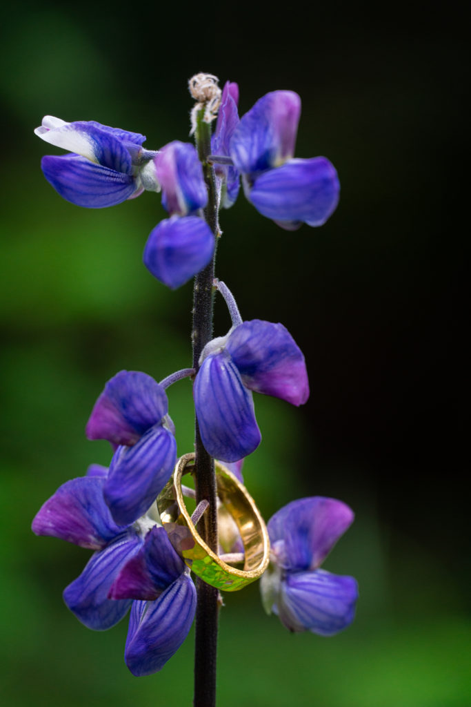 Schindler Gold: Unapologetically Unrefined - Chasing Candice